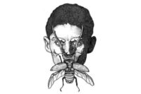 Metamorphosis By Franz Kafka - Quizlit